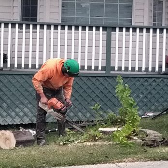 ALL SEASON TREE SERVICE - Updated December 2025 - 46 Photos - PO Box ...
