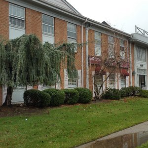 OPTUM ORTHOPEDICS - RUTHERFORD - Updated May 2025 - 201 NJ-17 ...