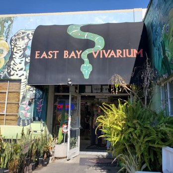 EAST BAY VIVARIUM - Updated August 2024 - 594 Photos & 580 Reviews ...