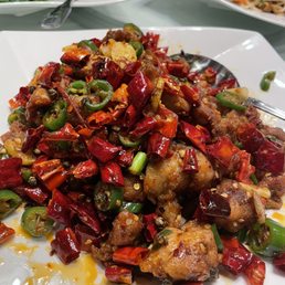DAN GUI SICHUAN CUISINE - 219 Photos & 91 Reviews - 13112 NE 20th St ...