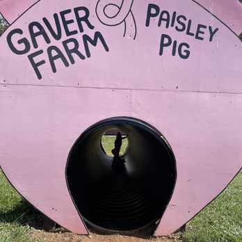 GAVER TREE FARM & PUMPKIN PATCH - Updated October 2025 - 283 Photos ...