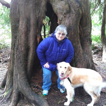 WONDERWOOD PARK - Updated September 2025 - 39 Photos & 14 Reviews - 5304 32nd Ave, Lacey ...