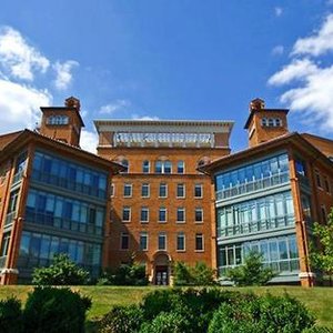 BERNSTEIN MANAGEMENT CORPORATION - Updated May 2025 - 22 Photos & 65 ...