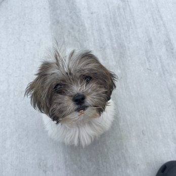 PET RANCH - Updated September 2025 - 38 Photos & 85 Reviews - 3833 E ...