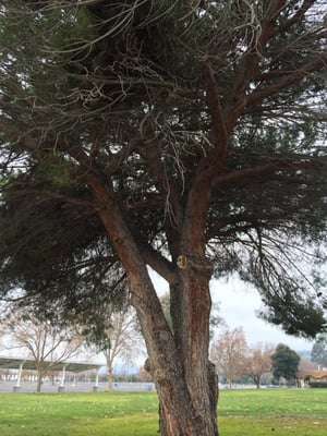 SOLANO COMMUNITY COLLEGE - Updated October 2025 - 25 Photos & 47 ...