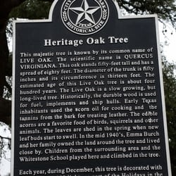 Landmarks & Historical Buildings - HERITAGE OAK TREE - 900-A Quest Blvd ...