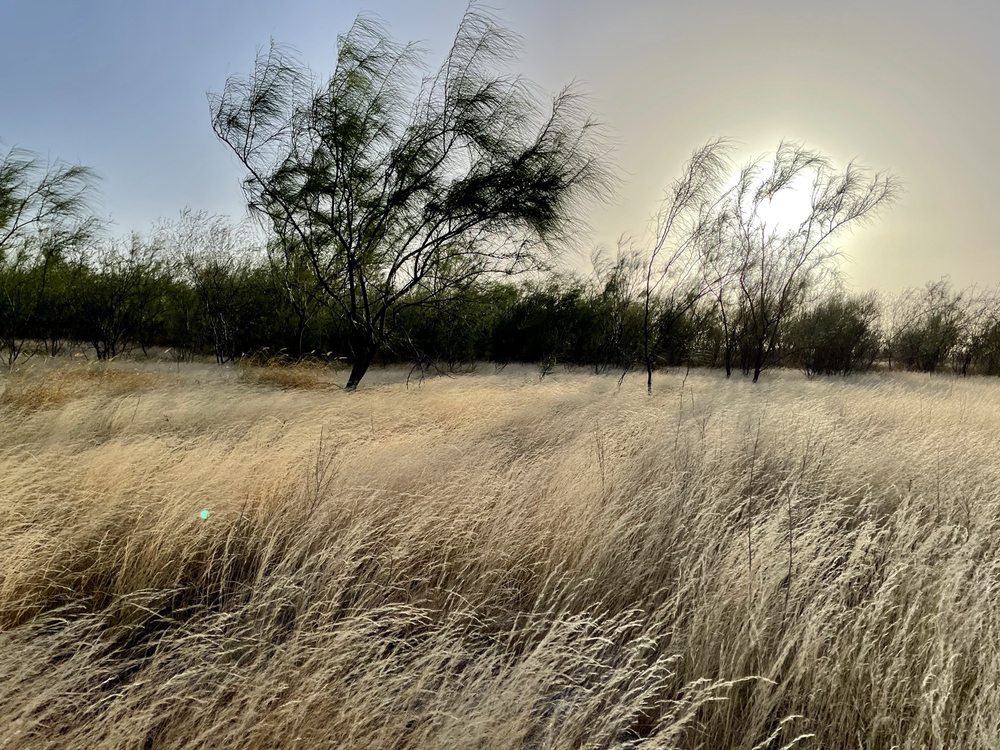 FALCON STATE PARK - Updated July 2024 - 51 Photos - Park Rd 46, Falcon ...