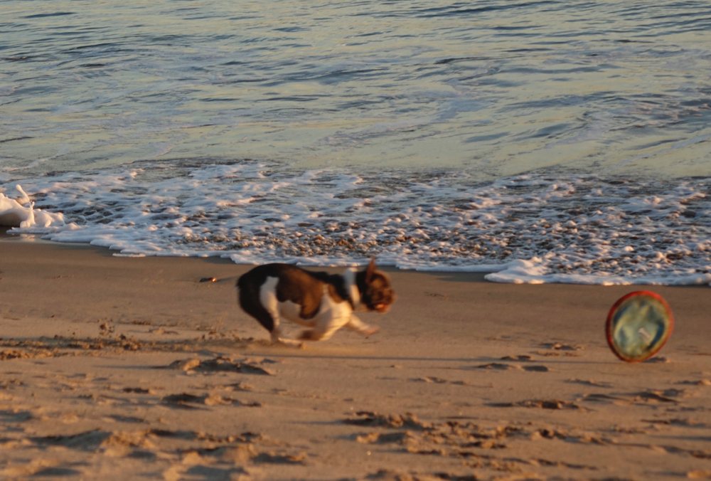 SANDY MARSH THERAPY - Updated July 2025 - 2001 S Barrington Ave, Los ...