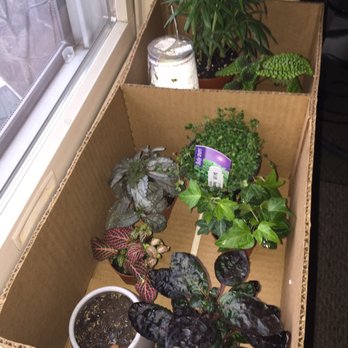 OTT’S EXOTIC PLANTS - Updated October 2025 - 302 Photos & 120 Reviews ...