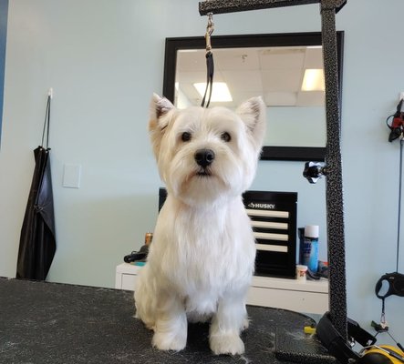 THE GROOM CREW - Updated December 2025 - 15 Photos - 4715 Hiawatha Ave ...