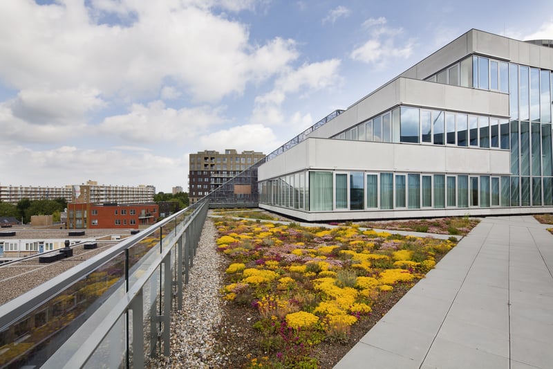 TOL BV HOVENIER EN TERREININRICHTER VD - 20 Photos - Tolakkerweg 118 ...