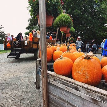 DR DAVIES FARM STAND - Updated August 2025 - 141 Photos & 118 Reviews ...