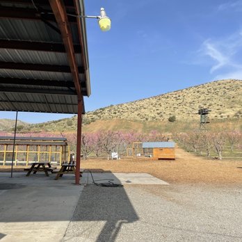 BLOOM RANCH OF ACTON - Updated August 2025 - 179 Photos & 70 Reviews ...