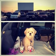 Drive-In Theater - VINELAND DRIVE-IN - 285 Photos & 666 Reviews - 443 ...
