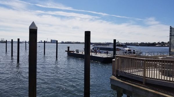 INDIA POINT PARK - 200 Photos & 61 Reviews - 225 India St, Providence ...