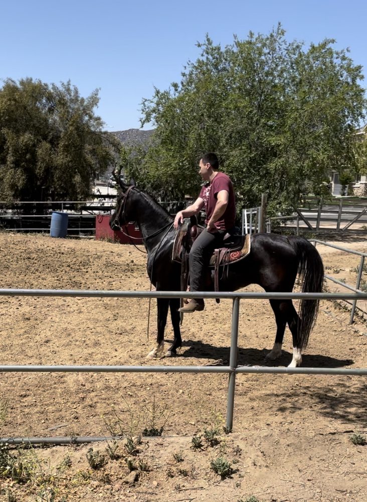 HAWKREST RANCH - Updated October 2025 - 12 Photos - 23700 Adams Ave ...