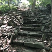 PALISADES INTERSTATE PARK STATE LINE LOOKOUT - 323 Photos & 56 Reviews ...