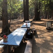 CODORNICES PARK - 156 Photos & 153 Reviews - 1201 Euclid Ave, Berkeley ...