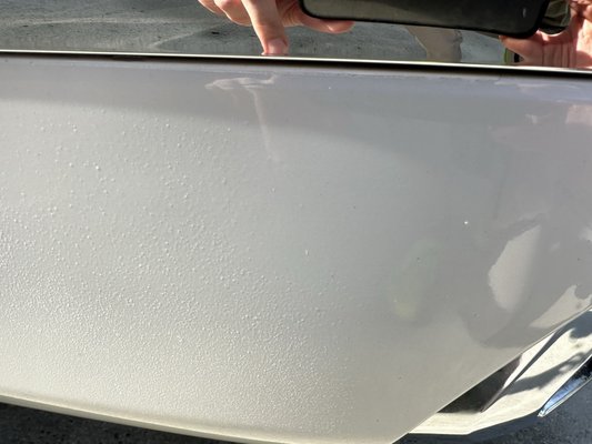 FREEMAN MOTOR PORTLAND SHOWROOM - Updated December 2025 - 102 Photos ...