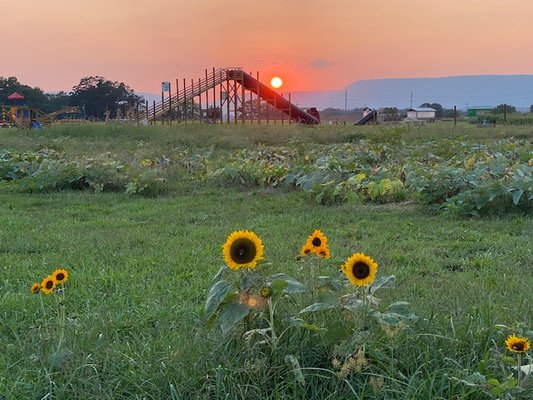FAIRVIEW FUN FARM - Updated October 2025 - 316 Fairview Rd, Luray ...