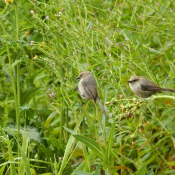 SIXTY ACRES PARK - Updated September 2025 - 71 Photos & 15 Reviews ...