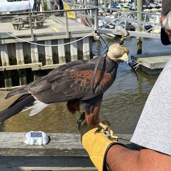 DOCKSIDE KITCHEN - Updated January 2026 - 249 Photos & 202 Reviews ...