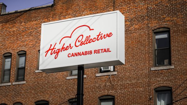 HIGHER COLLECTIVE - Updated November 2025 - 14 Photos - 595 Bank St ...