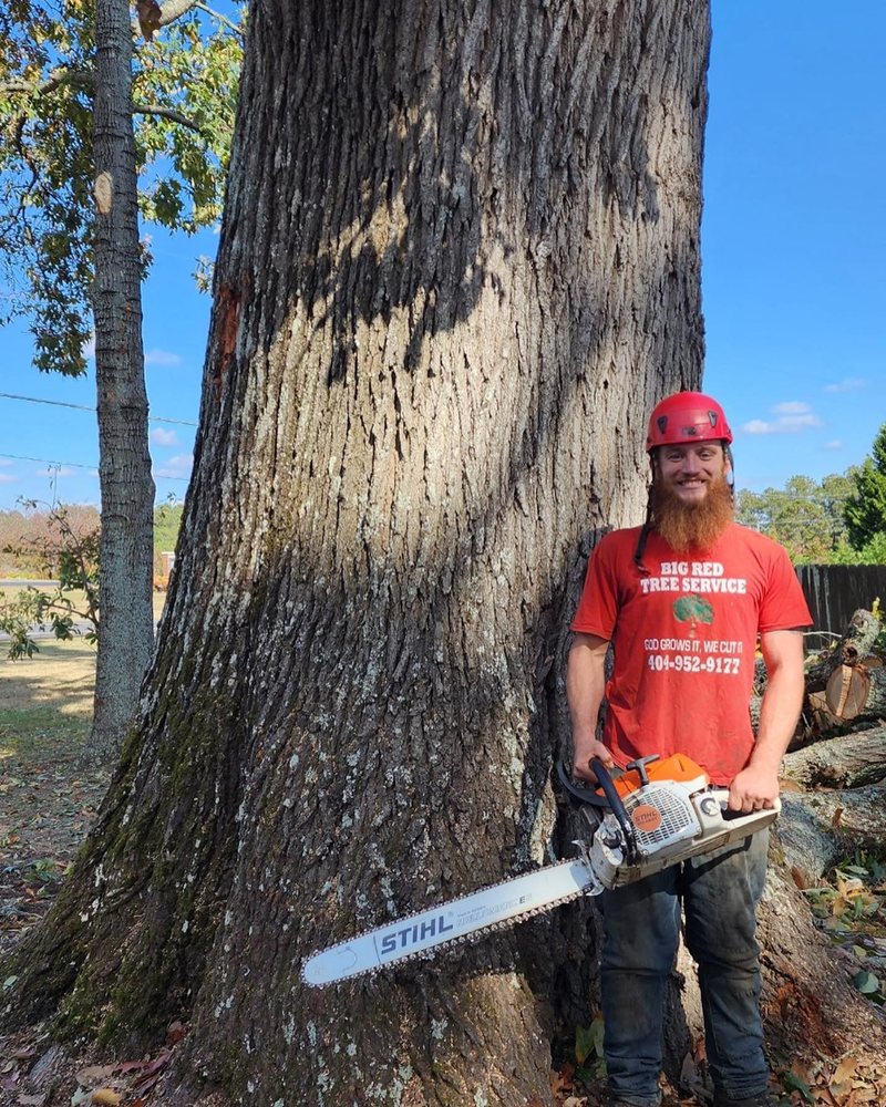 BIG RED TREE SERVICE - Updated October 2025 - 29 Photos - PO Box 325, Loganville, Georgia - Tree ...