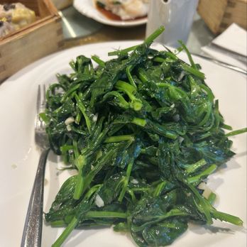 MOON PALACE - Updated January 2025 - 541 Photos & 92 Reviews - 40 ...