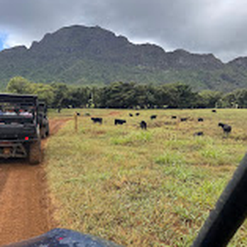 KIPU RANCH ADVENTURES - Updated January 2025 - 1759 Photos & 1553 ...