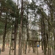 TRINITY FOREST ADVENTURE PARK - 140 Photos & 72 Reviews - 1800 Dowdy ...