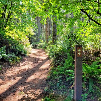 BRIDLE TRAILS STATE PARK - Updated December 2025 - 101 Photos & 41 ...