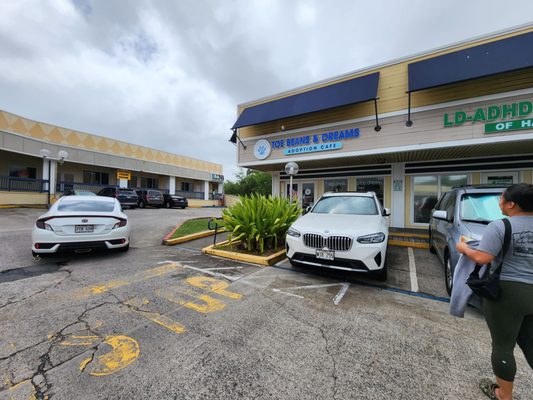 TOE BEANS AND DREAMS ADOPTION CAFE - Updated August 2025 - 212 Photos ...