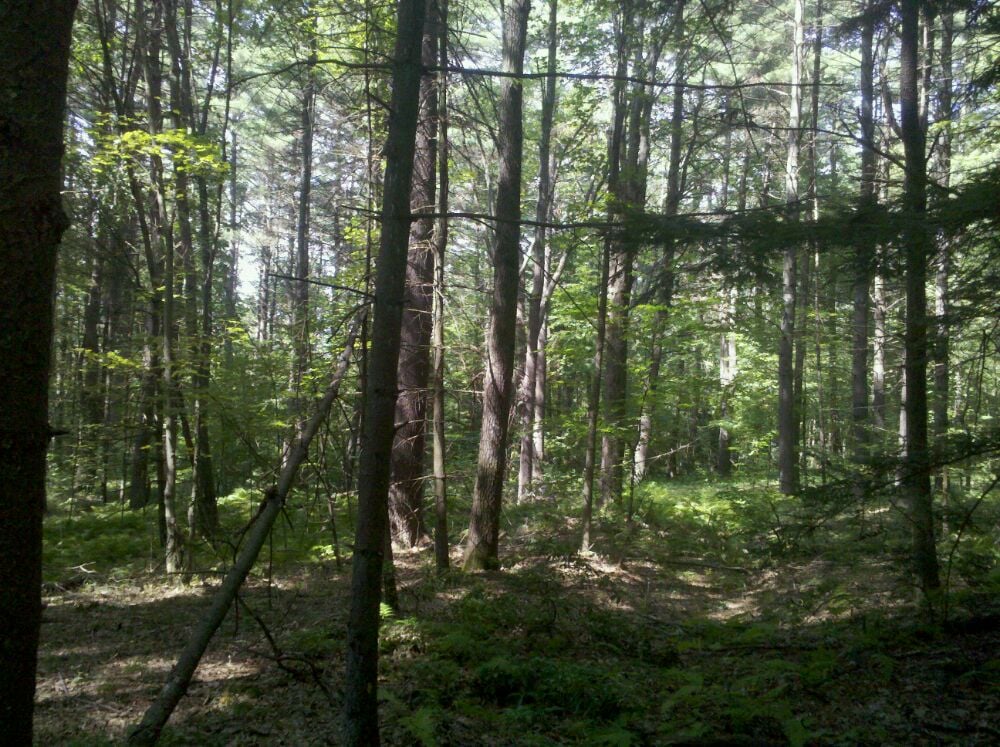 NORTHFIELD MOUNTAIN - Updated December 2025 - 99 Millers Falls Rd ...