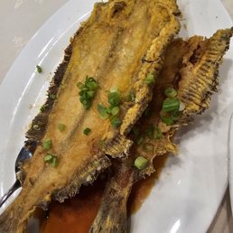 TASTE OF MP - Updated December 2025 - 970 Photos & 198 Reviews - 415 W ...