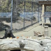 ANIMAL ARK - Updated December 2025 - 522 Photos & 163 Reviews - 1265 ...