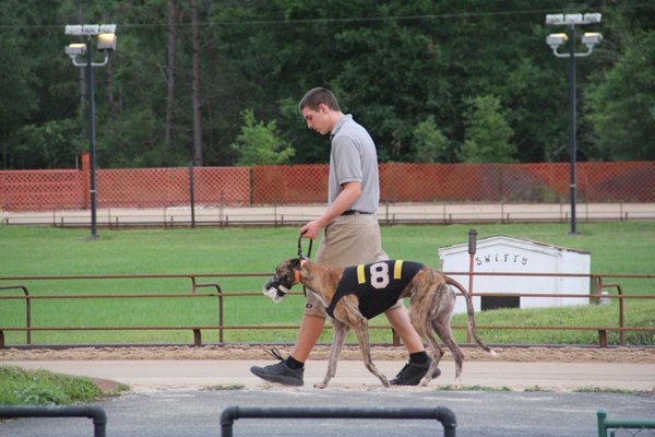 PENSACOLA GREYHOUND TRACK AND POKER ROOM - Updated October 2025 - 21 ...