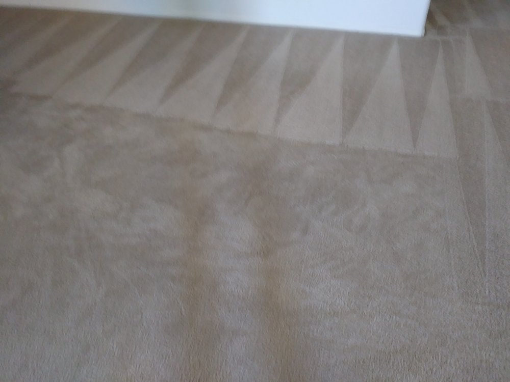 GREG ONE STOP CARPET AND TILE CLEANING - Updated May 2024 - 14 Photos ...