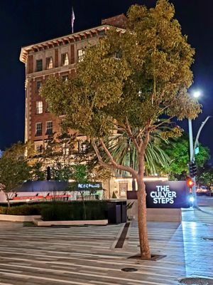 THE CULVER STEPS - Updated July 2025 - 110 Photos & 25 Reviews - 9300 ...