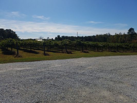 THE FRUITHURST WINERY CO - Updated October 2025 - 27091 County Rd 49 ...