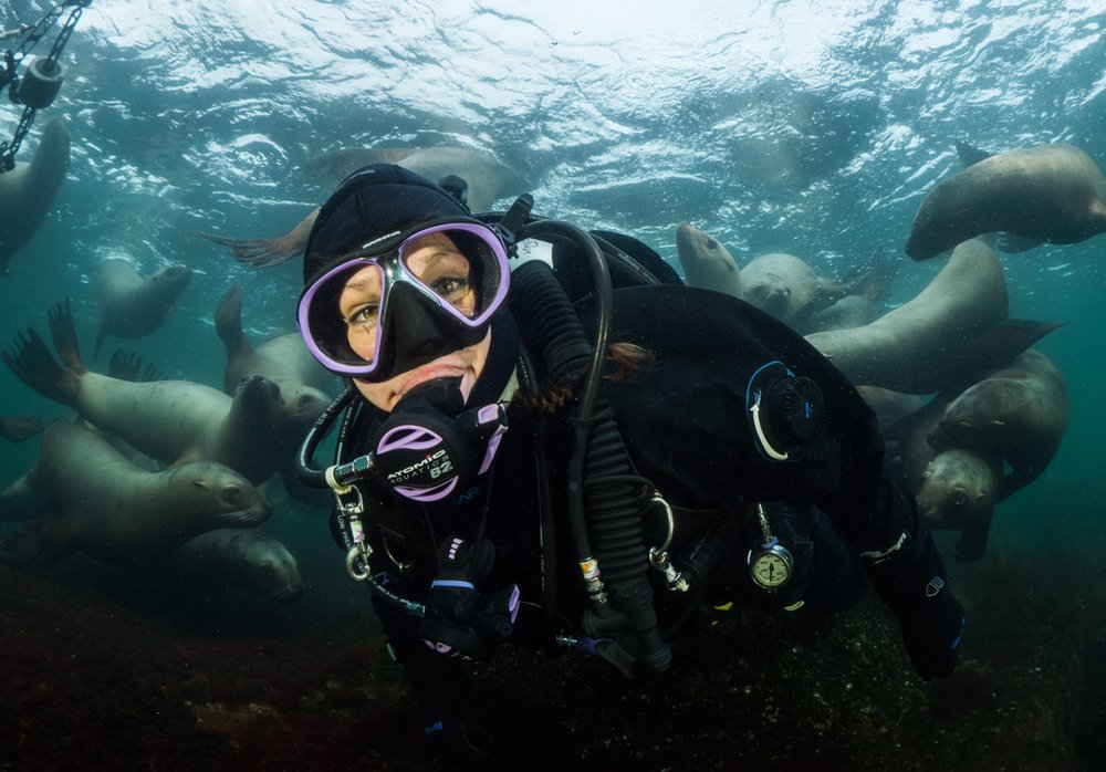 ECO DIVE CENTER - Updated December 2025 - 226 Photos & 647 Reviews ...