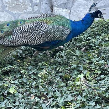 MALAGA COVE LIBRARY - Updated December 2025 - 150 Photos & 35 Reviews ...