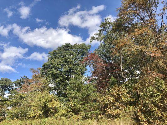 TIMBER CREEK PARK - Updated June 2024 - 166 Photos & 98 Reviews - 236 ...