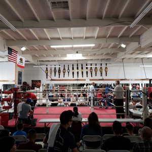 HOUSE OF BOXING TRAINING CENTER - 10 Photos & 13 Reviews - 2304 Reo Dr ...