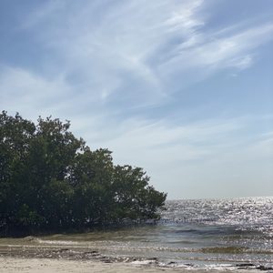 GREEN KEY BEACH - 19 Photos & 12 Reviews - 4835 Green Key Rd, New Port ...