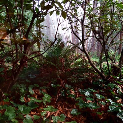 MERCER ISLAND LIBRARY - Updated October 2025 - 14 Photos & 13 Reviews ...