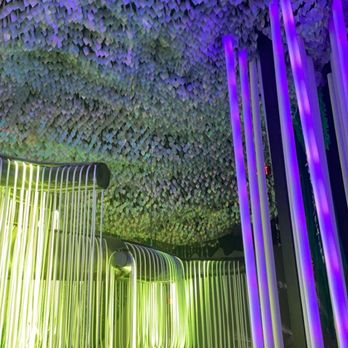 OTHER WORLD PHILADELPHIA - Updated April 2025 - 387 Photos & 41 Reviews ...