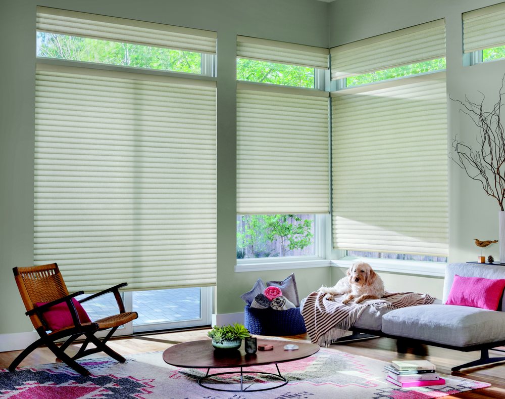 WINDOW SHADES ABOVE AND DESIGN - Updated September 2025 - 12 Photos ...