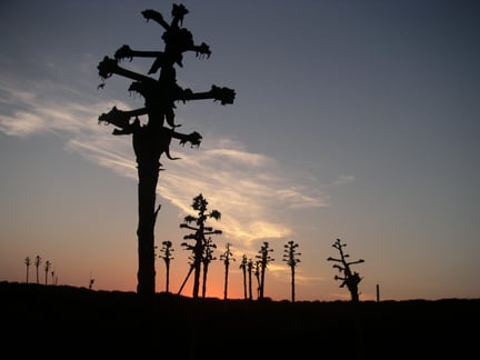 BAJA BOUND MEXICAN INSURANCE SERVICES - Updated November 2025 - 38 ...