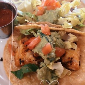 EL JARRO - 128 Photos & 310 Reviews - 3563 Mt Diablo Blvd, Lafayette ...